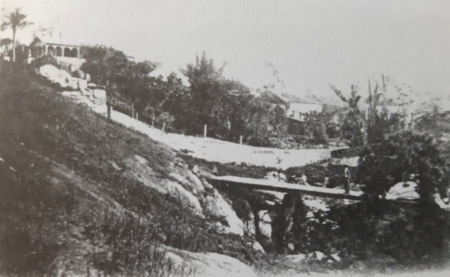 Um século da Avenida Hercílio Luz em imagens – Do Rio da Bulha à ...